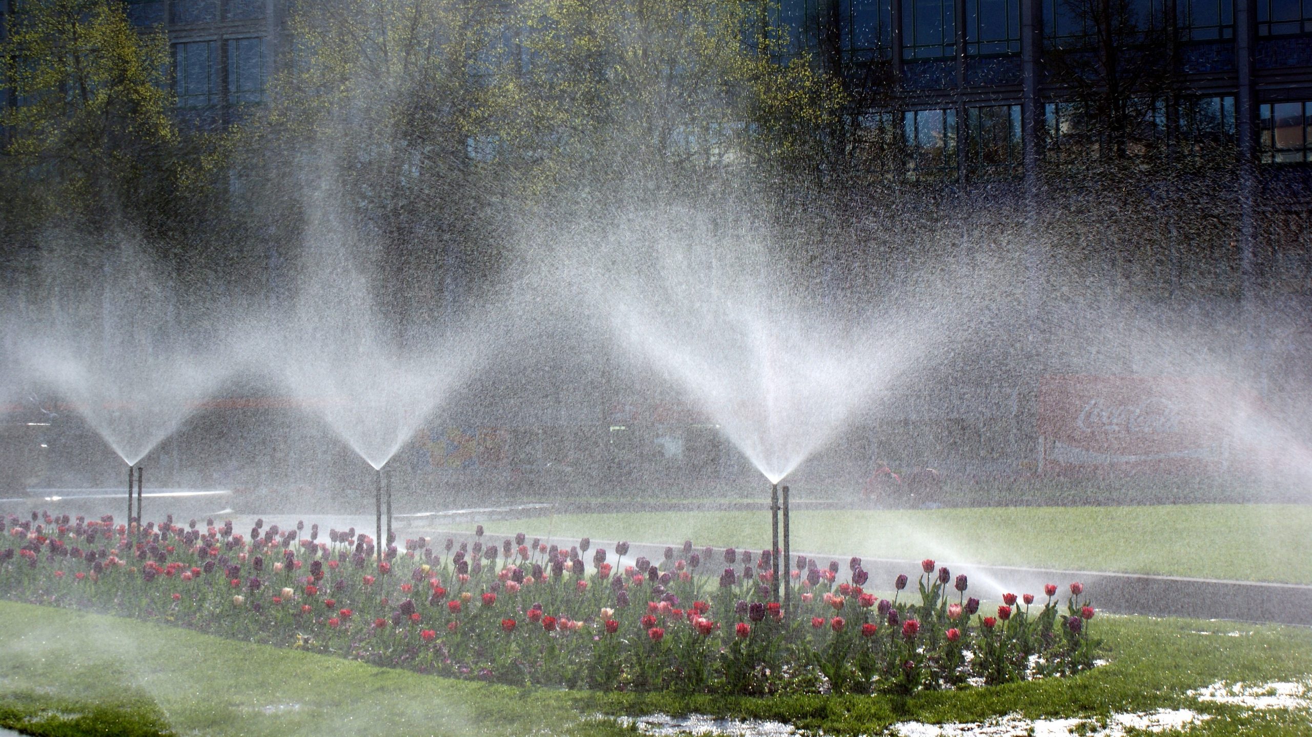 Irrigation